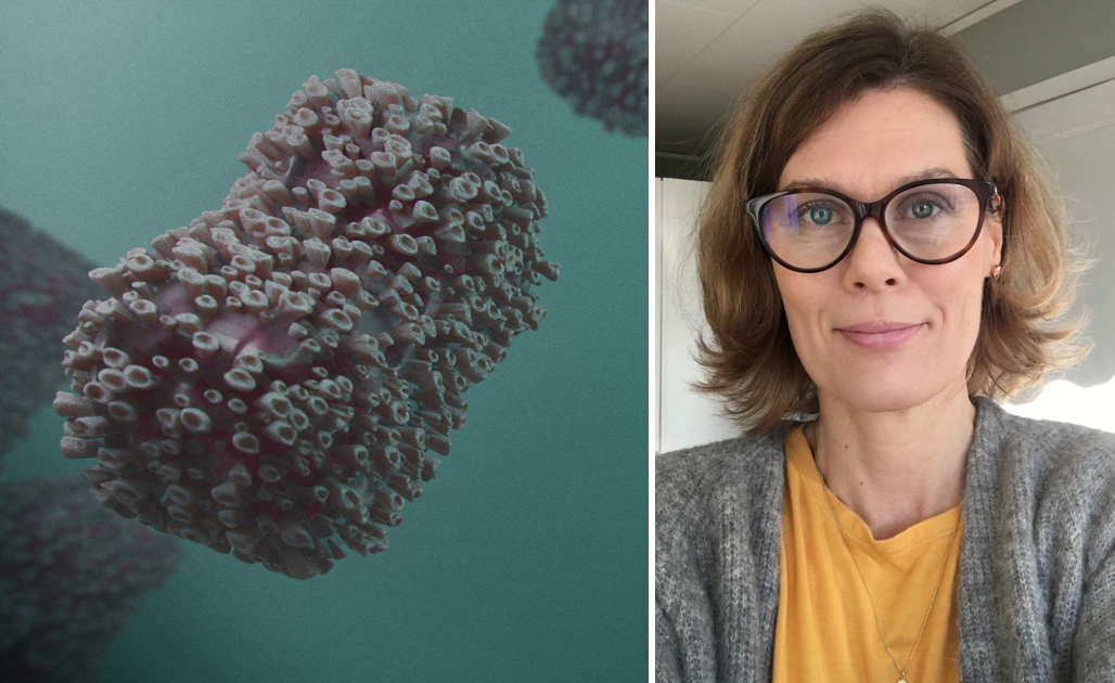 Första internationella studien om apkoppor bland kvinnor | Sahlgrenskaliv